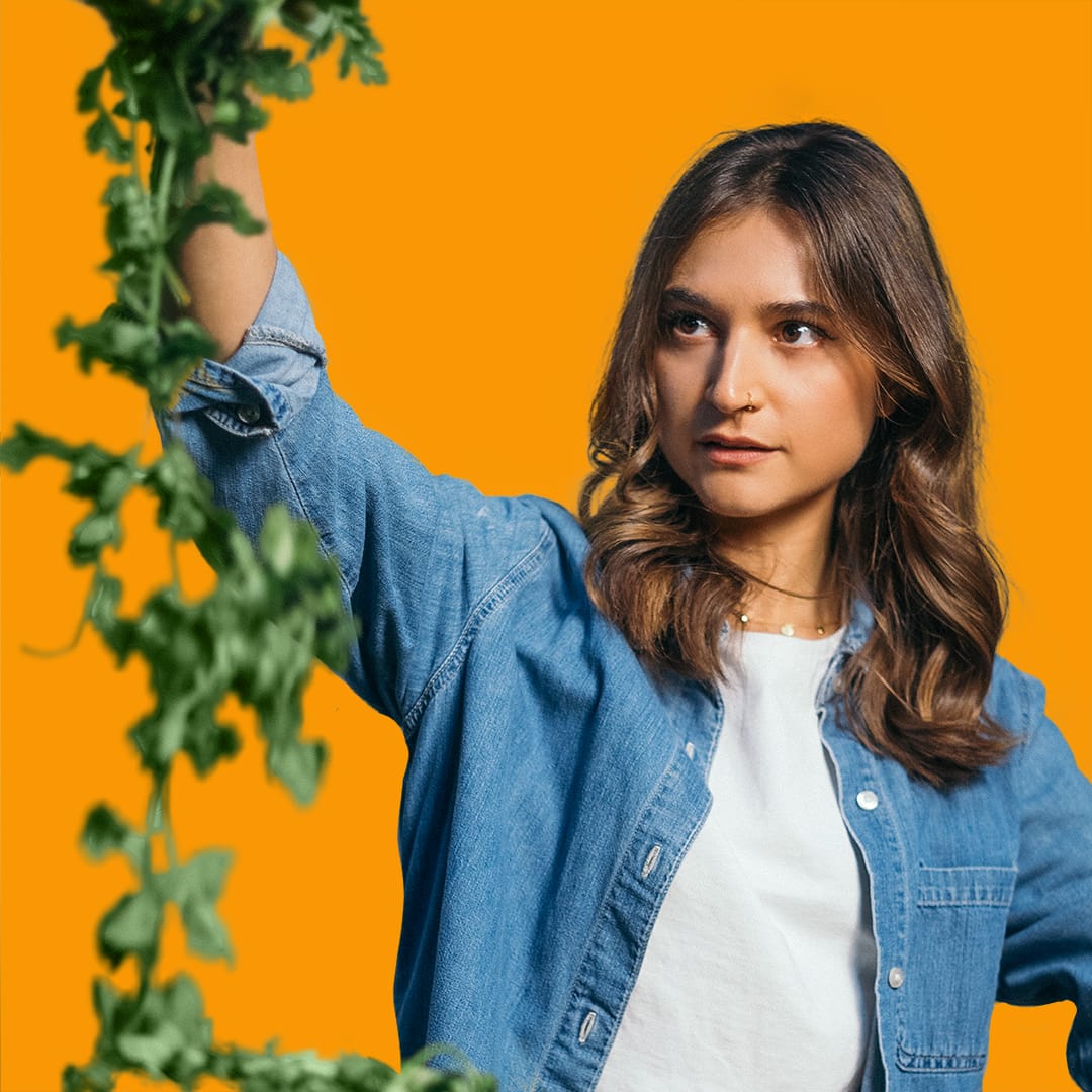 My English Persian Kitchen (Edinburgh) - Soho Theatre